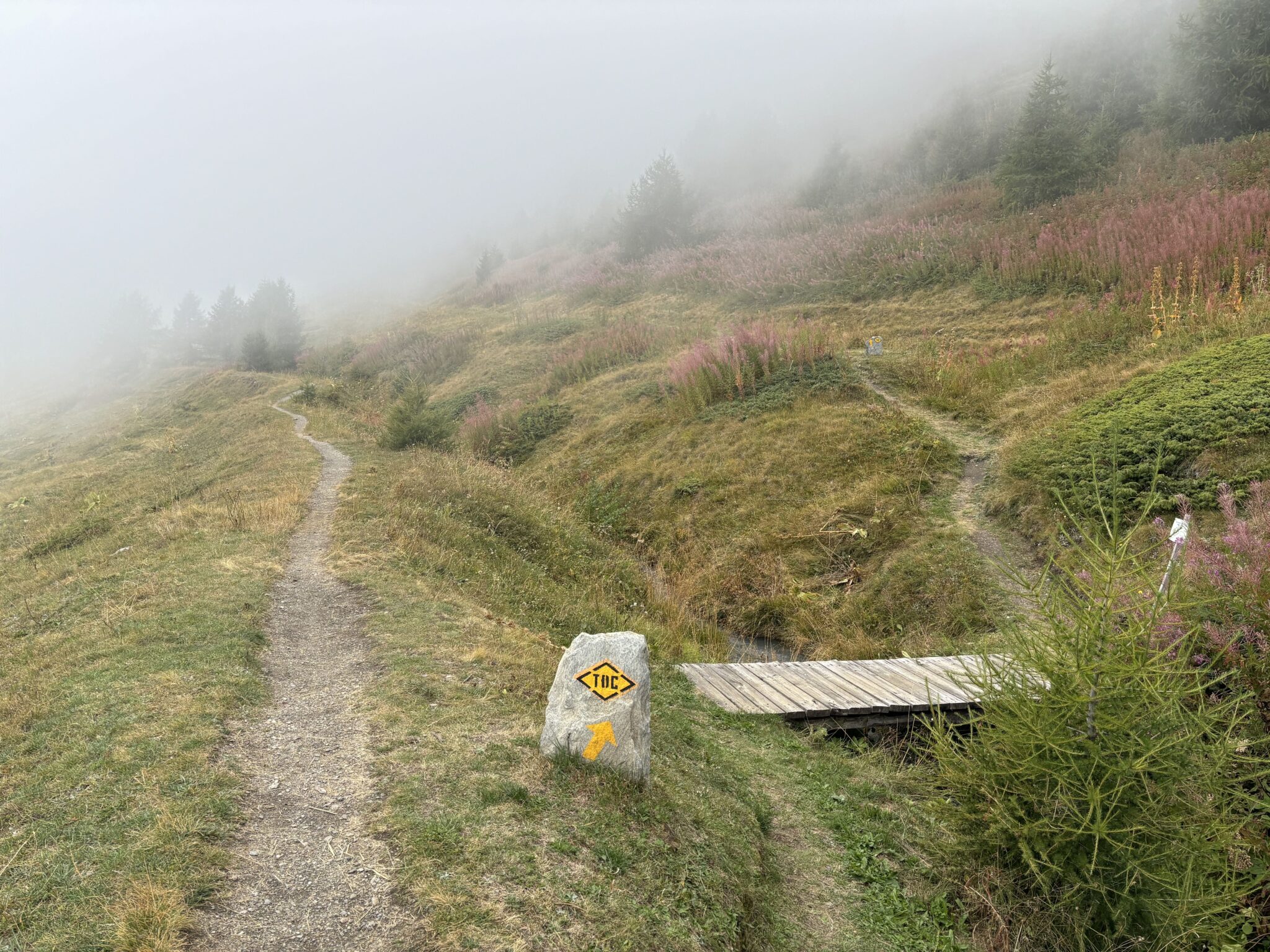 Grand Tour des Combins Self Guided Trek 7 Days - Adventure Base